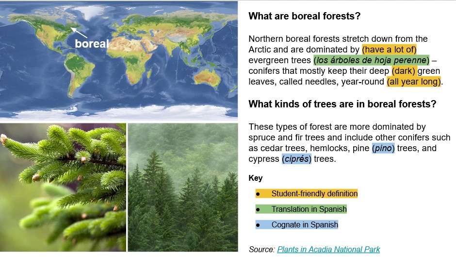 Text Engineering | Colorín Colorado