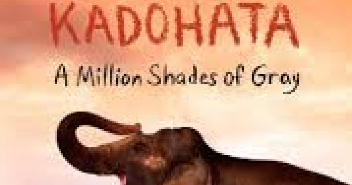 A Million Shades of Gray | Colorín Colorado