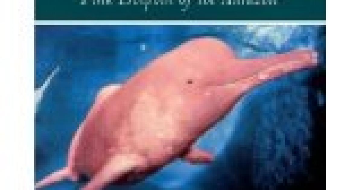 Encantado: Pink Dolphin of the Amazon | Colorín Colorado
