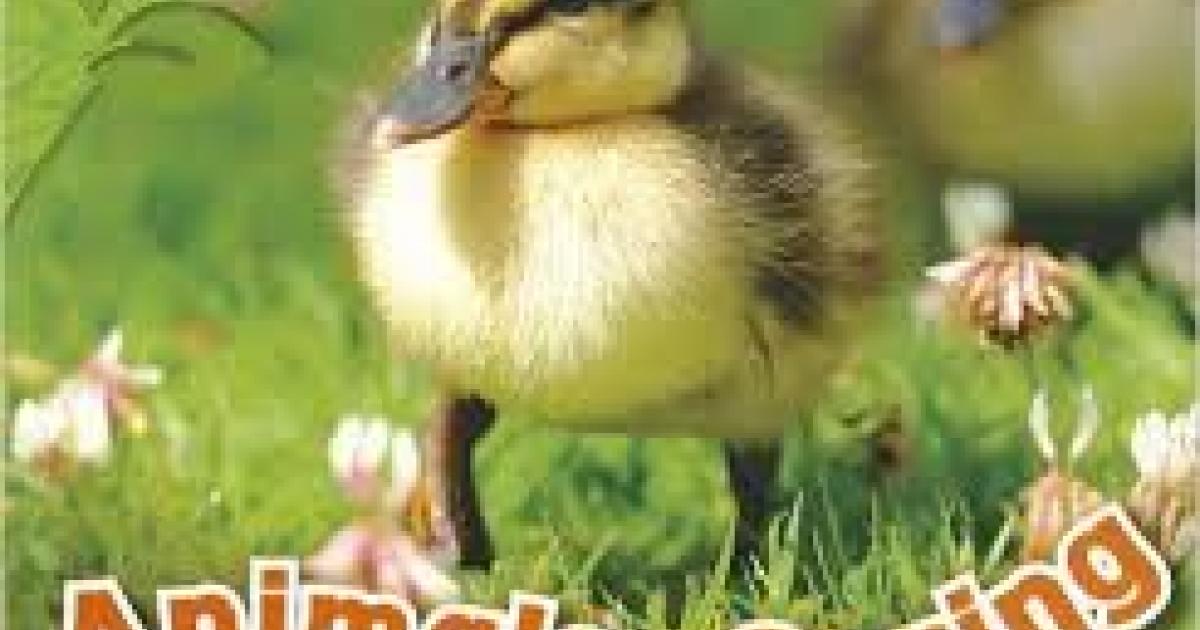 Animals in Spring (All about Spring) | Colorín Colorado